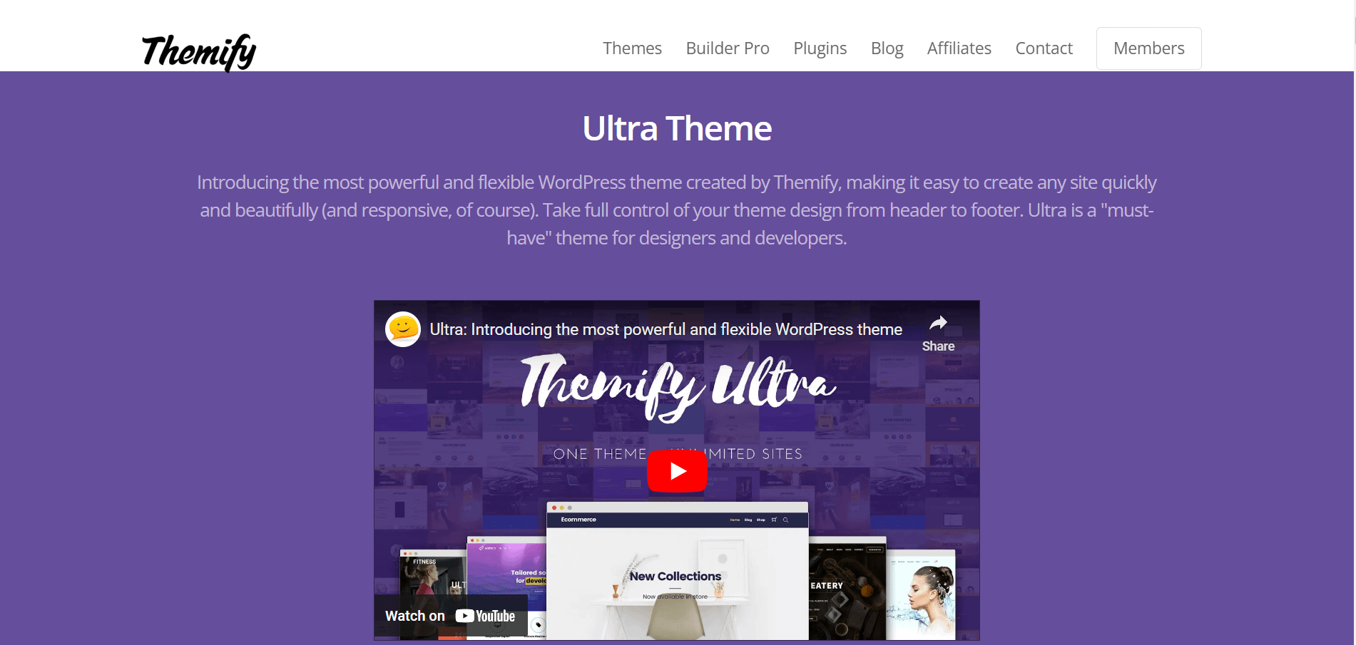 13 Best WordPress Themes in 2024 (Best Picks)