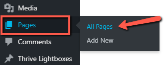 Adding Scripts to Single Pages and Posts - Thrive Themes