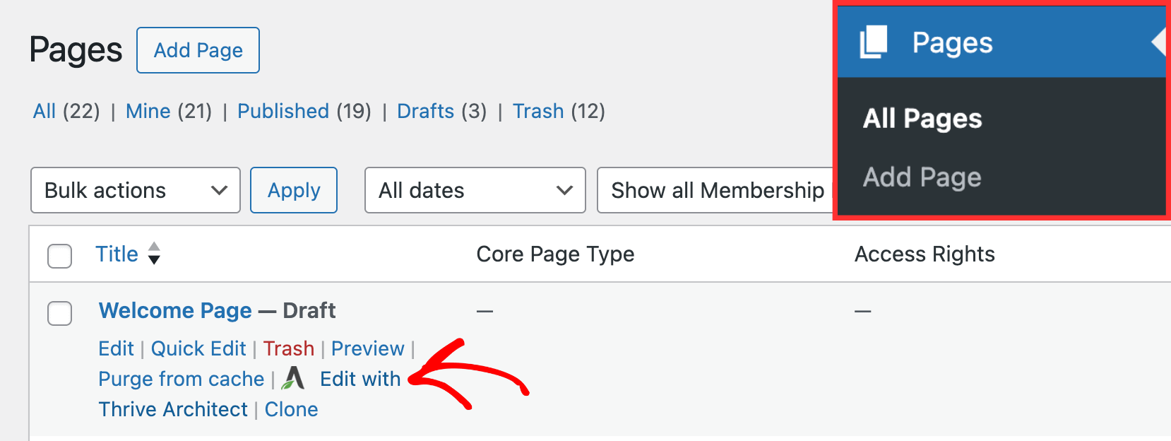 Using the Button Element in Thrive Architect - Thrive Themes