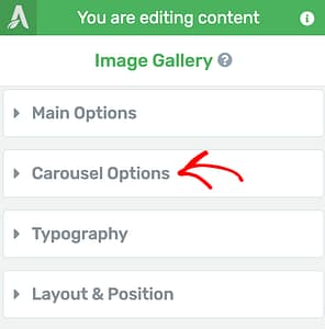 Using the Image Gallery Carousel Options in Thrive Architect - Thrive ...