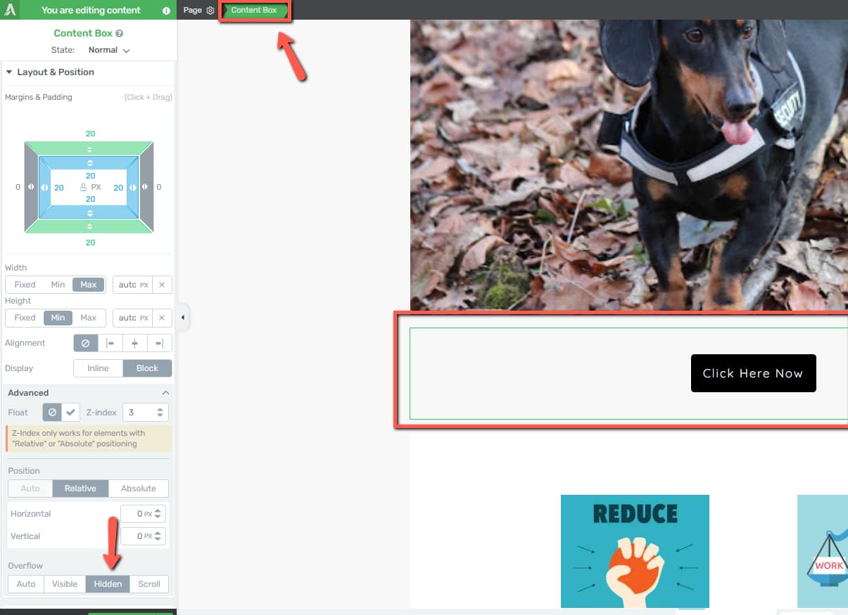 Horizontal Scrolling Troubleshooting for Mobile - Thrive Themes