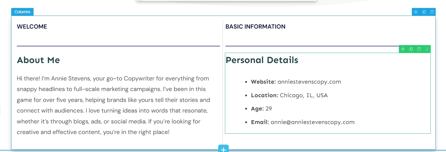 How to Make an Online Resume on WordPress (Step-By-Step)